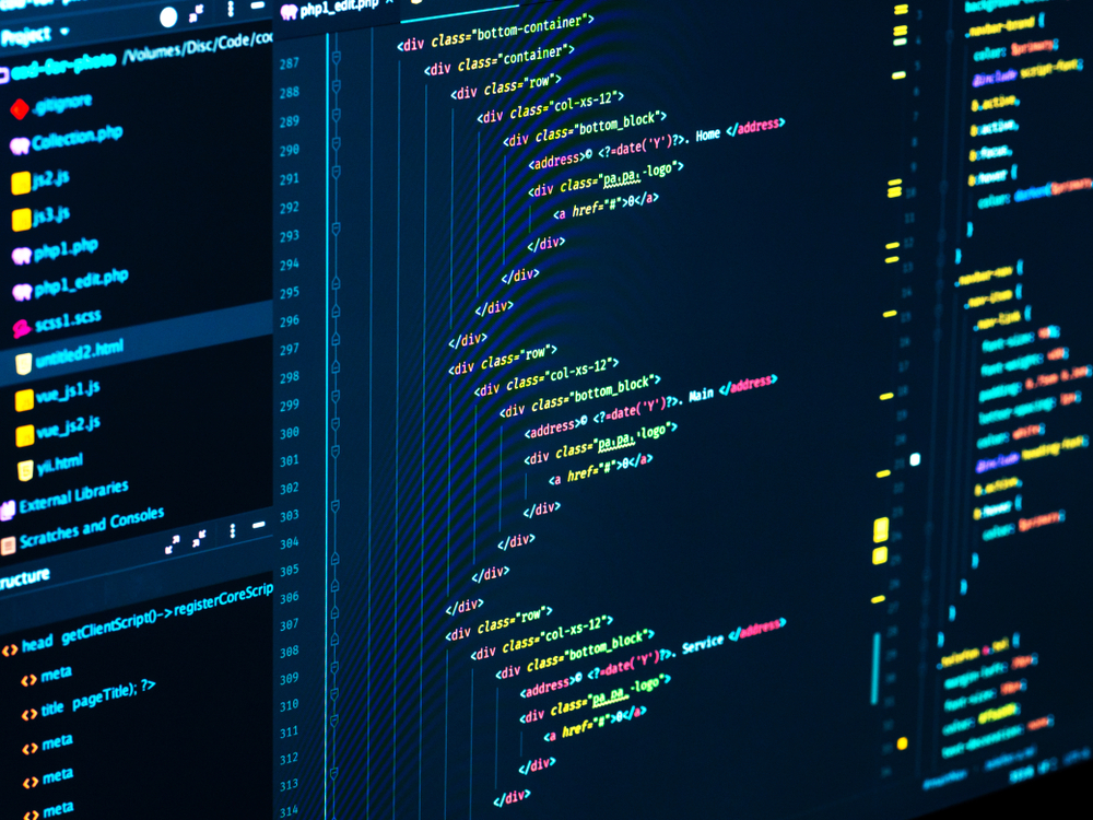 5 Programming Languages for Beginners | BsyBeeDesign