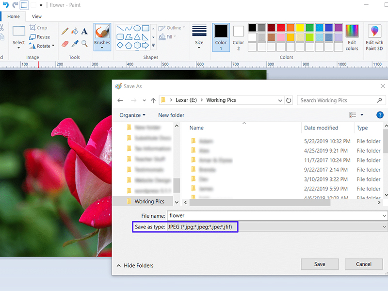 File Formats: Your quick guide to make your work easy | BsyBeeDesign