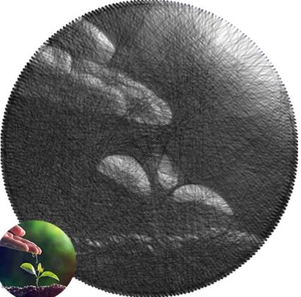 A Quick Guide to Create String Art Using String Art Generator