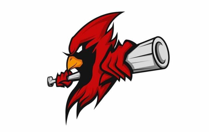 Cardinal Logo Design | Reflect Your Brand's Identity